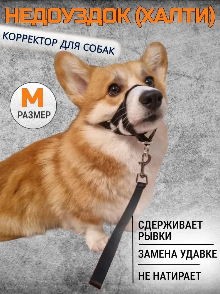 Намордник халти для собак крупных, средних, мелких пород / Недоуздок