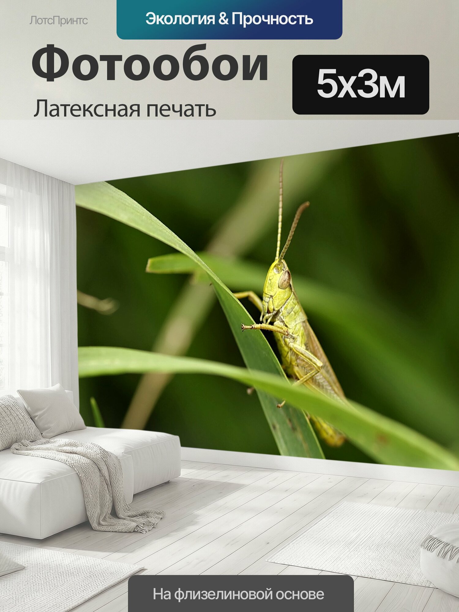 Фотообои моющиеся ударопрочные "Кузнечик, насекомое, зеленый" 500x300 см. латексная печать