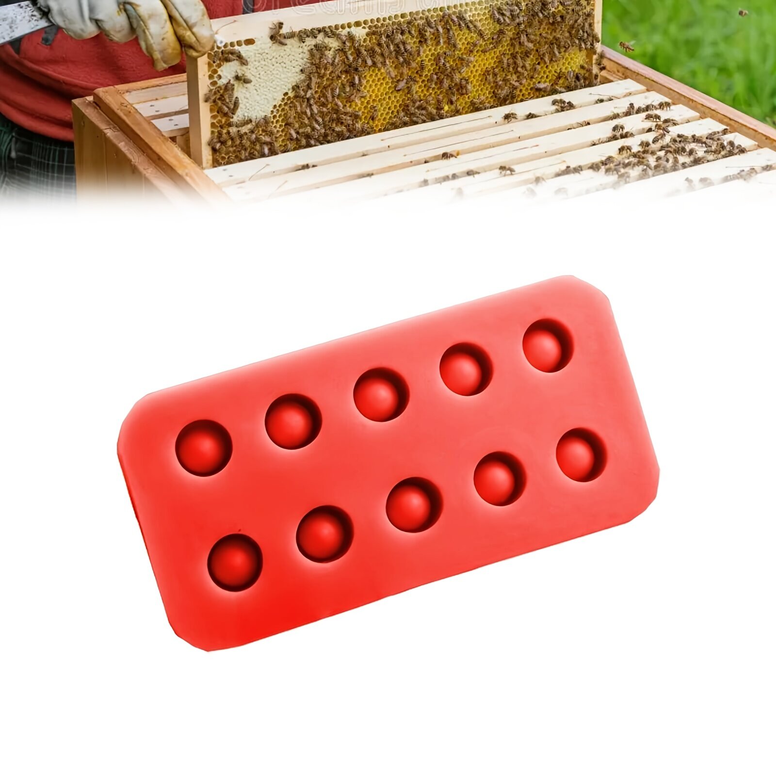 Форма для маточного молочка Queen Cell Cup Mold, 1 шт, инструмент для пчеловодства