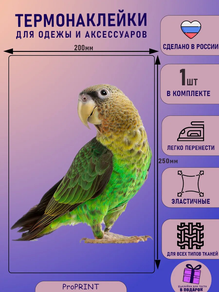 Термонаклейка на одежду