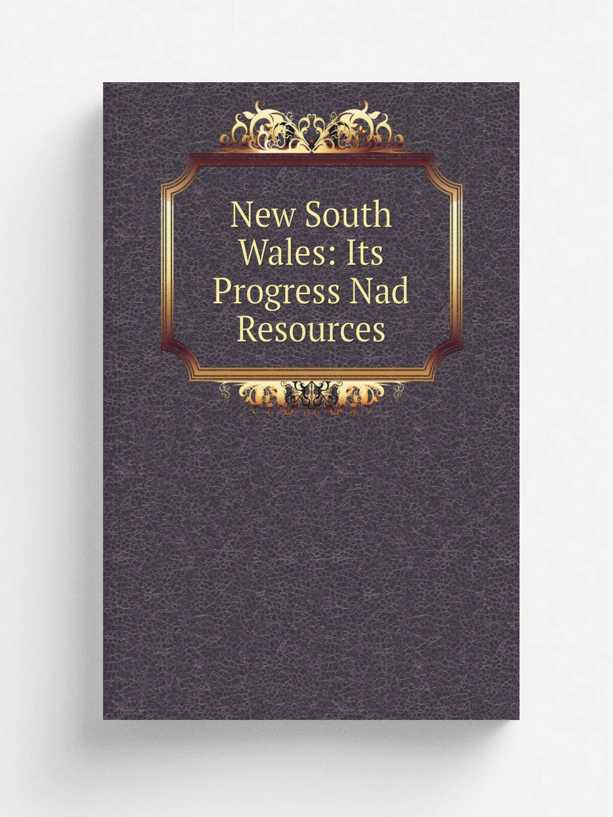 New South Wales: Its Progress Nad Resources