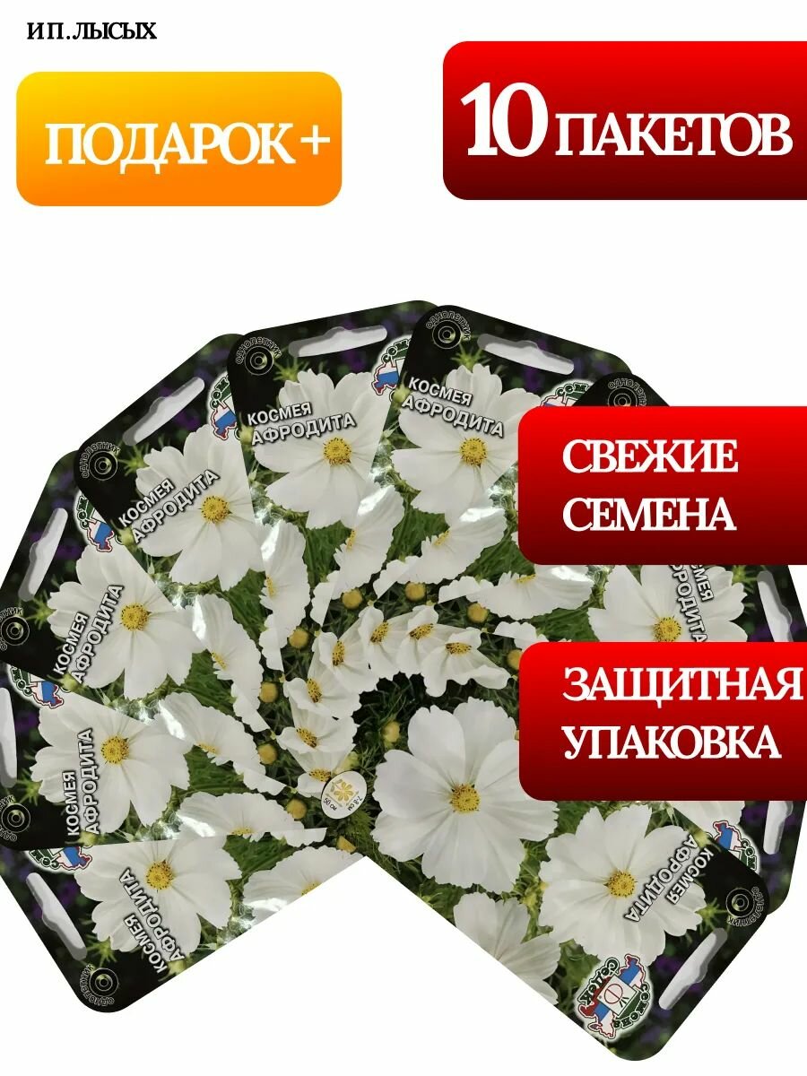 Семена Космея "Афродита"