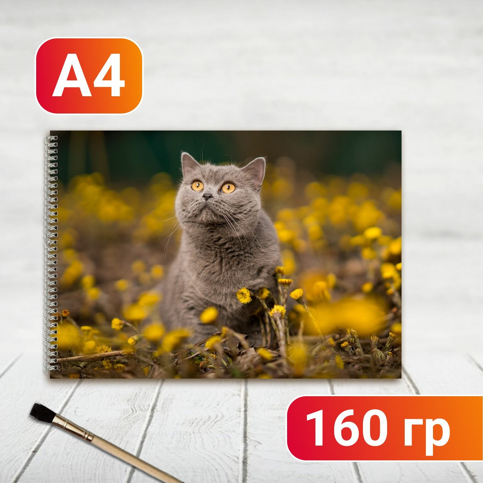 Альбом для рисования Котик