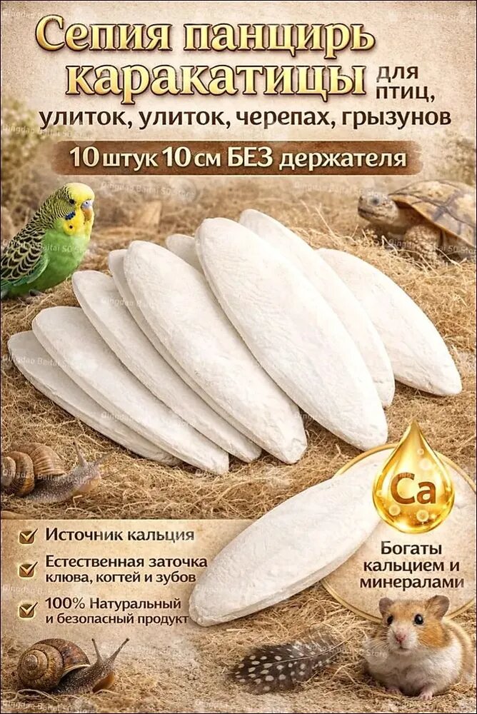 Сепия панцирь каракатицы для птиц, улиток, черепах, грызунов 10 штуки 10 см без держателя