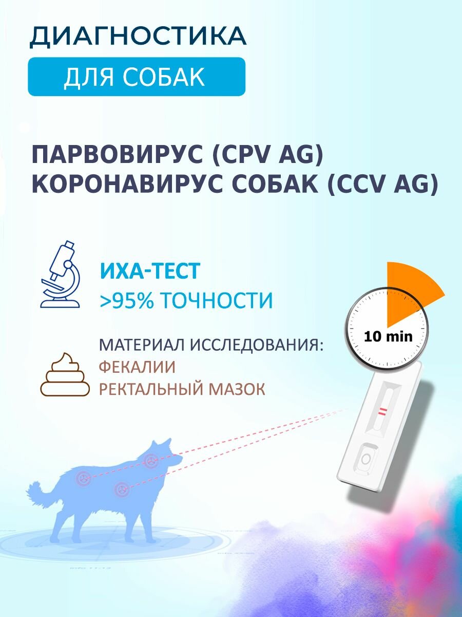 Экспресс-тест QBQVET на парвовирус и коронавирус собак (CPV Ag/CCV Ag), 1шт