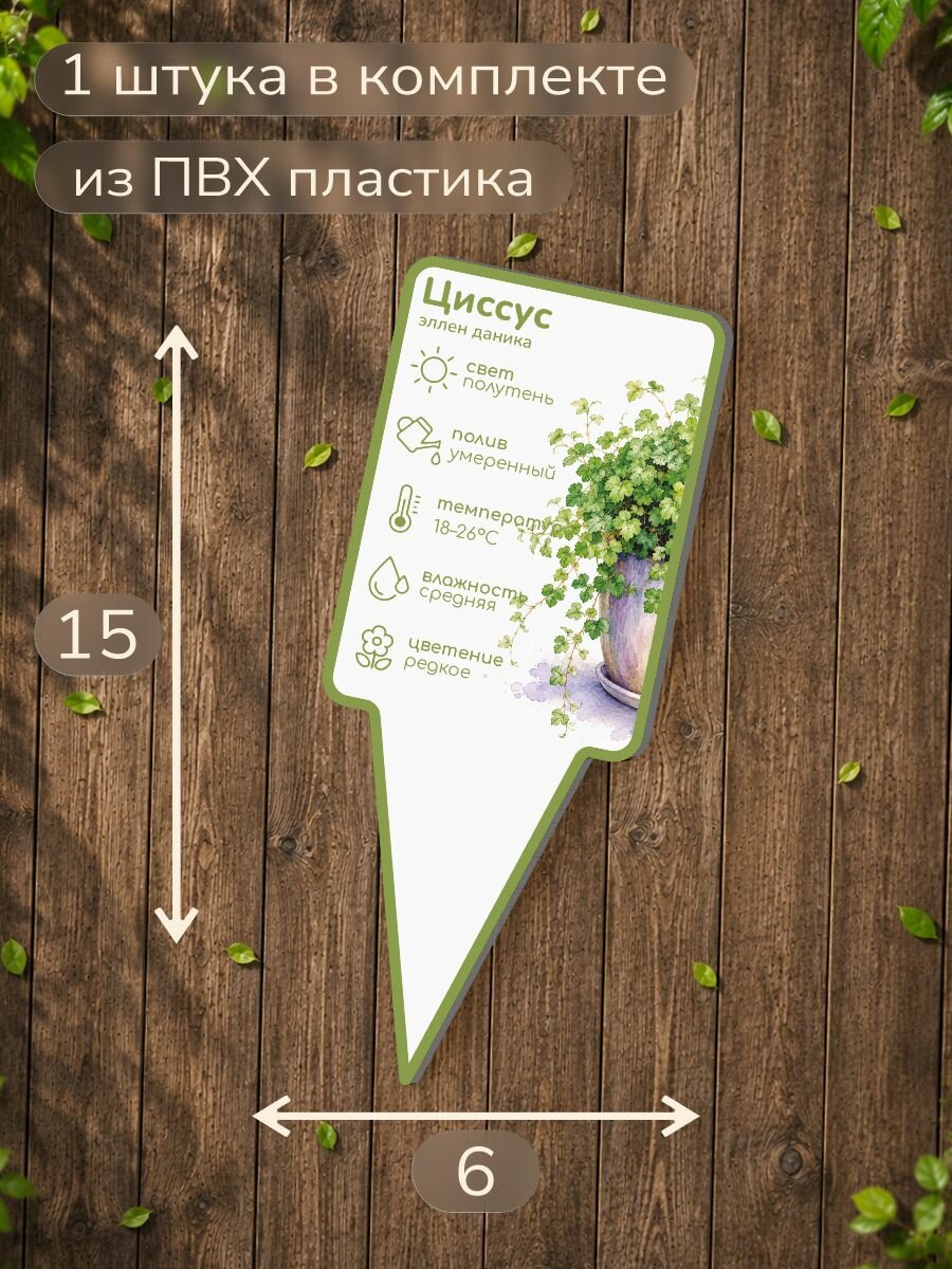 Фигурки для сада Циссус — фото 1