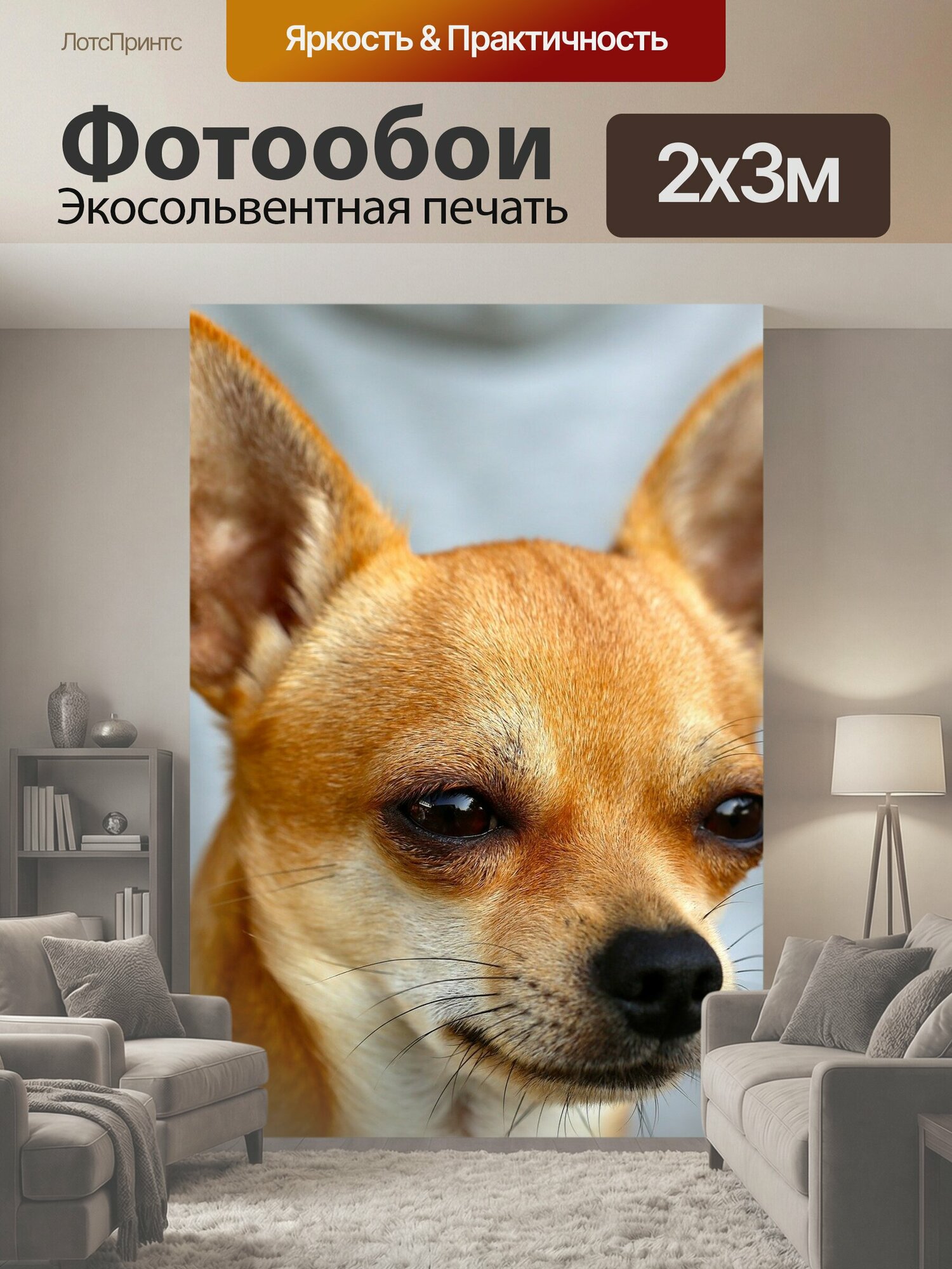Фотообои "Чихуахуа, собака, домашний питомец" 200x300 см. экосольвентная печать