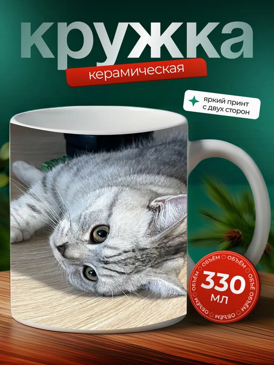 Кружка Шотландская прямоухая кошка,