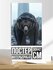 Постер на стену Медведь в разрушенном городе
