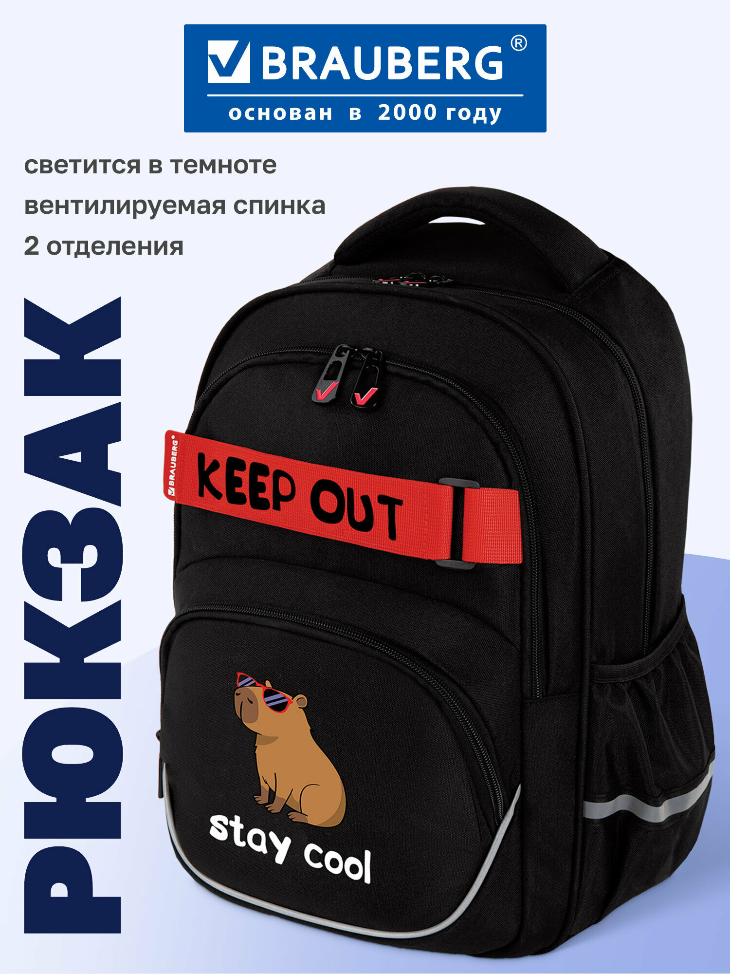 Рюкзак для мальчика, ранец спортивный, портфель школьный светящийся, 2 отделения, 3 кармана, Brauberg Капибара, 272032