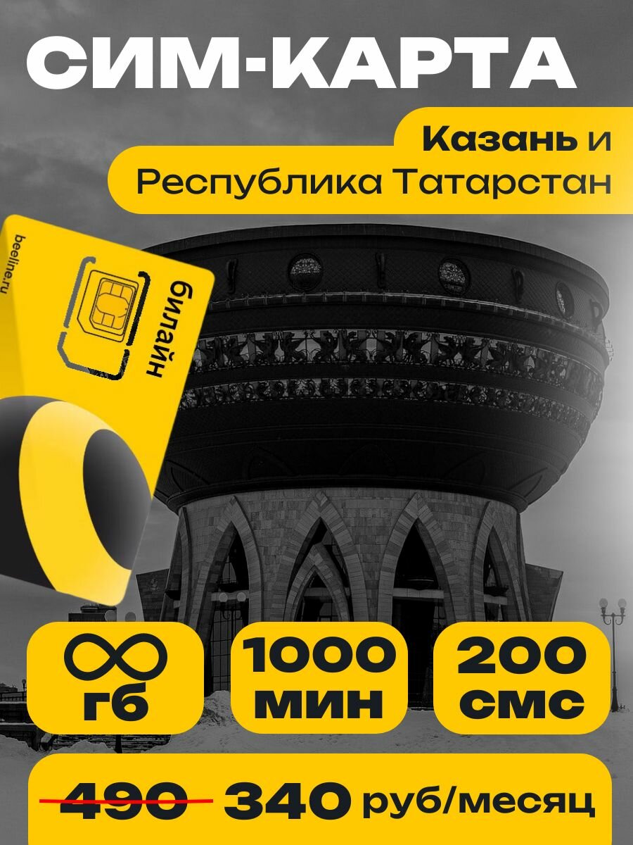 Сим-карта Билайн тариф Эксклюзивный Плюс Республика Татарстан Безлимитный интернет и 1000 минут за 340 руб.