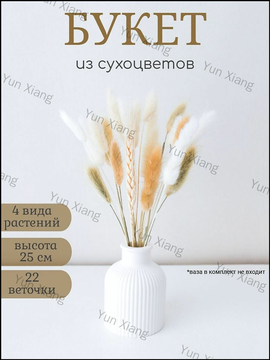 Сухоцветы Лагурус, Пшеница, 25 см