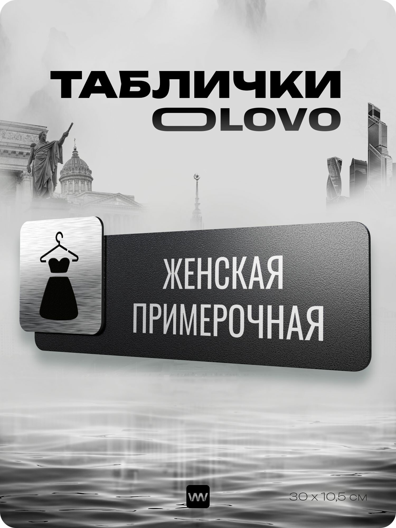 Табличка "Женская примерочная" на дверь, для офиса, общественного места, серия OLOVO/олово SLV, Айдентика Технолоджи