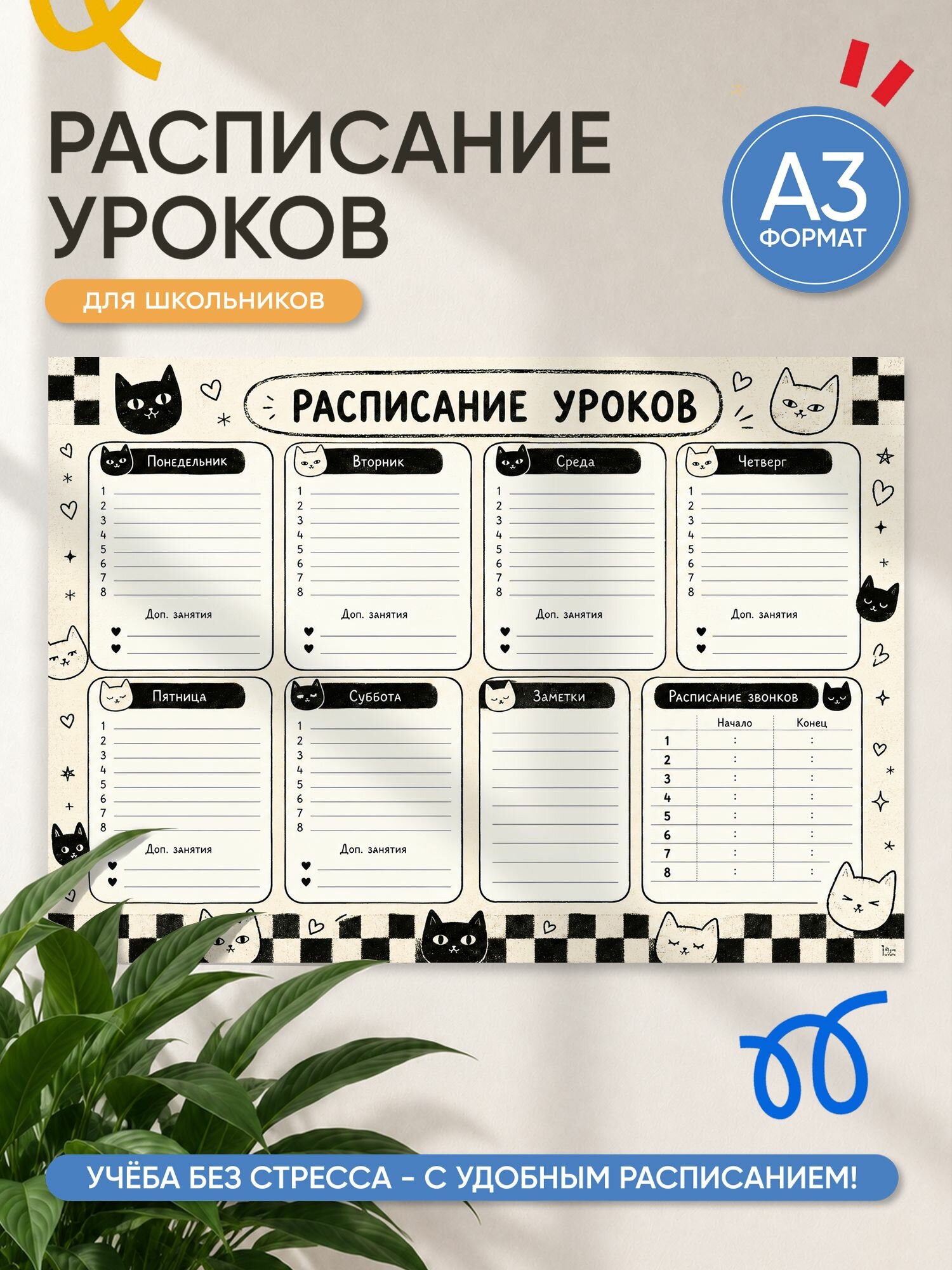 Расписание уроков Котики