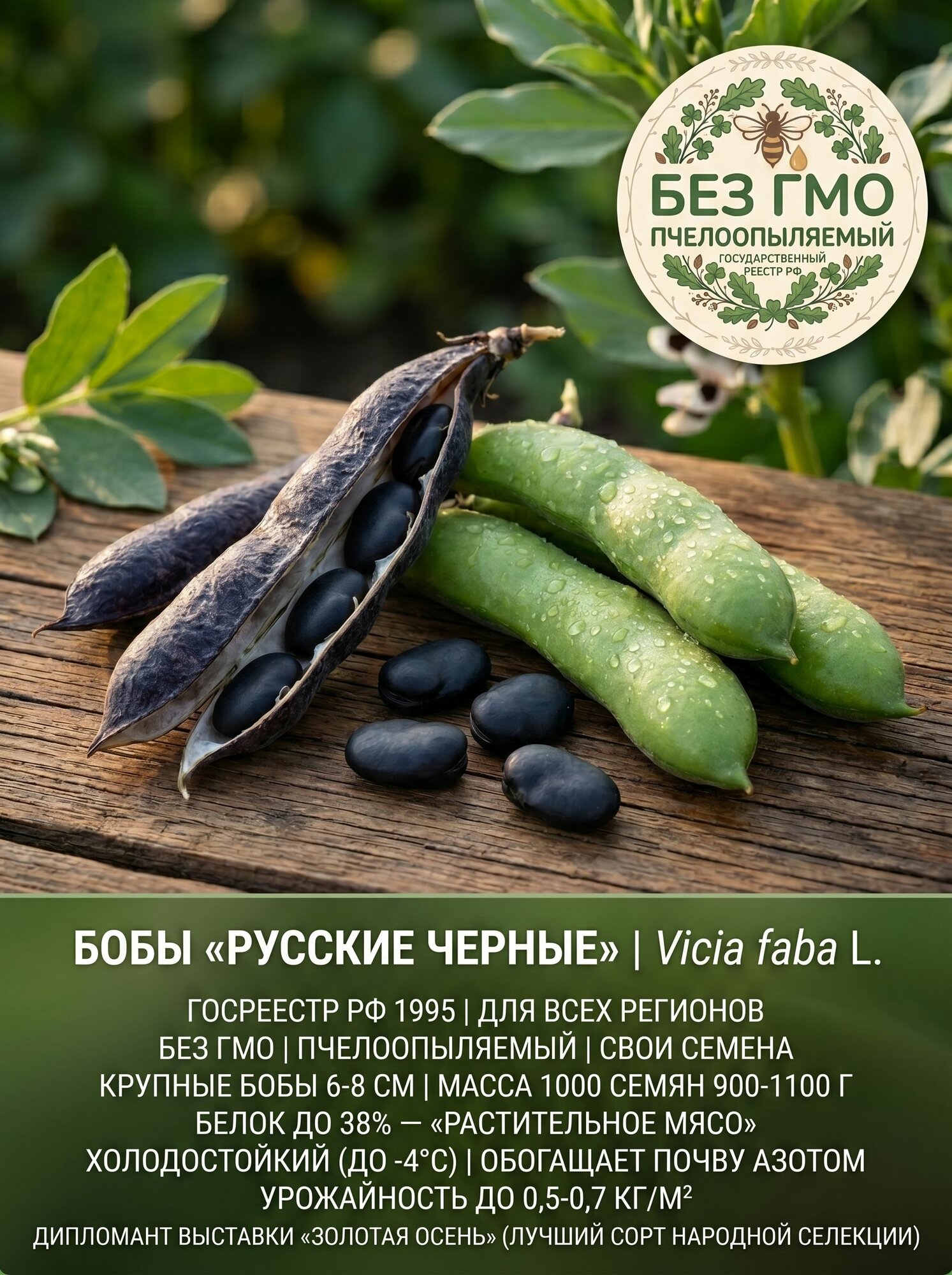 Семена бобы Русские черные Vicia faba Госреестр 1995 Белок 38% Растительное мясо без ГМО