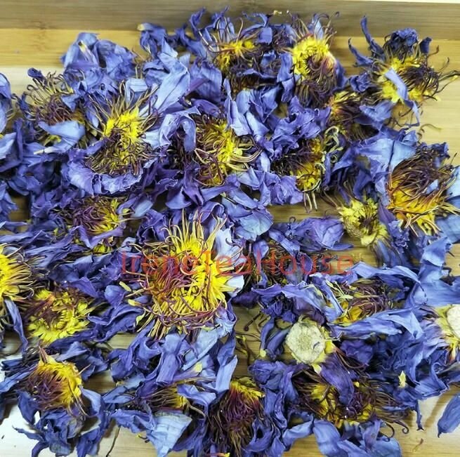 Нимфея голубая Nymphaea caerulea Lan Lian Hua