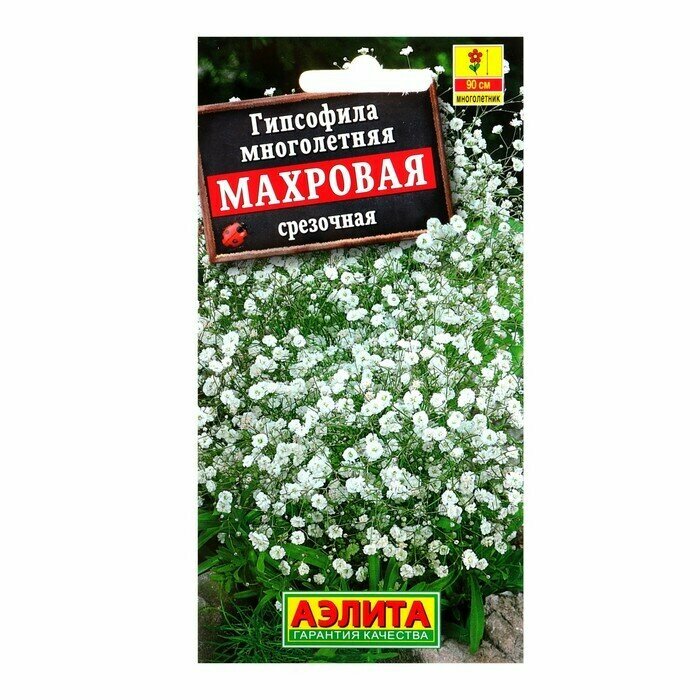 Семена цветов Гипсофила 'Махровая' многолетняя, Мн, 0,05 г