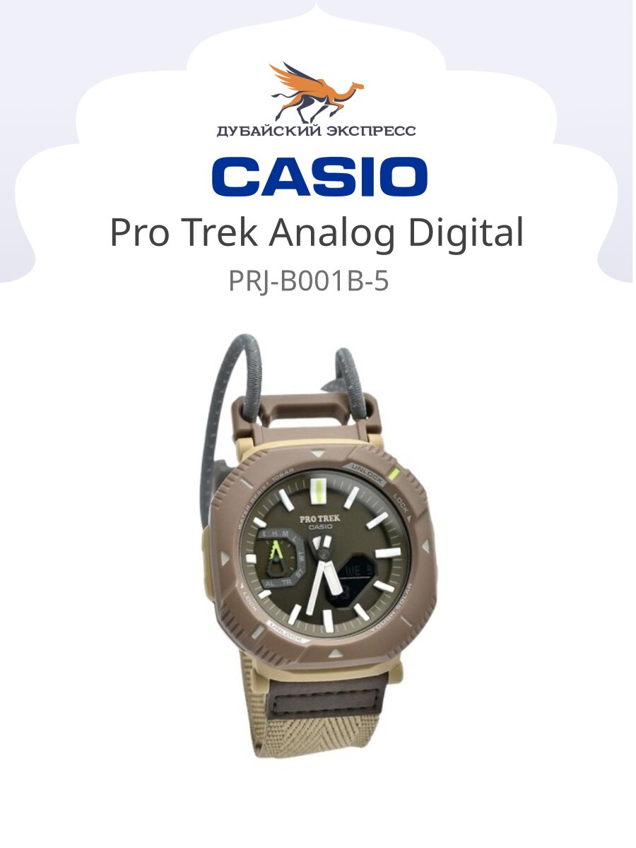  CASIO