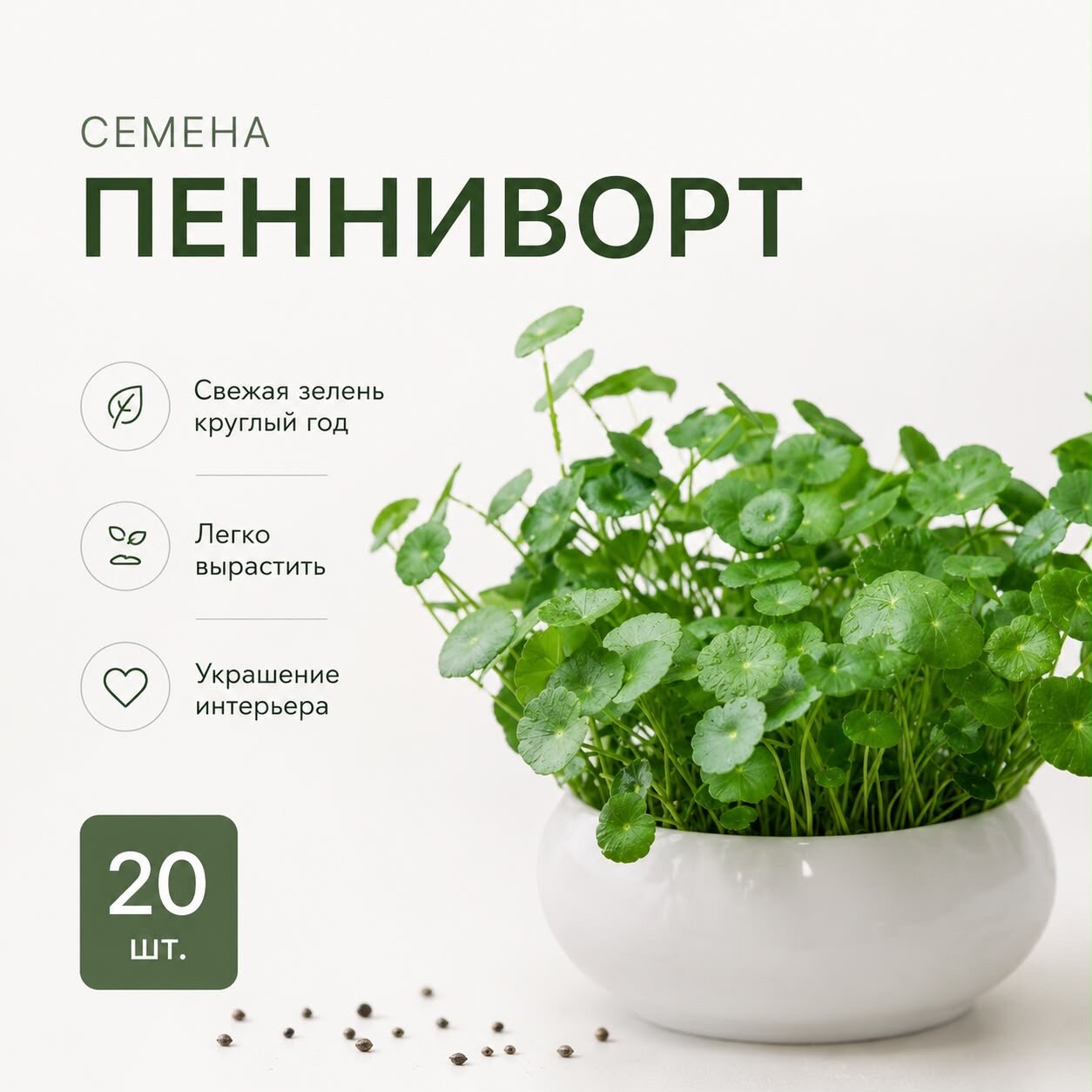 Готу Кола (Индийский Пенниворт) семена 20шт.