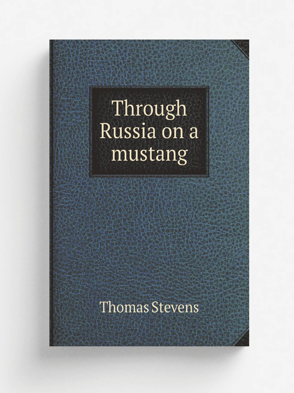 Through Russia on a mustang