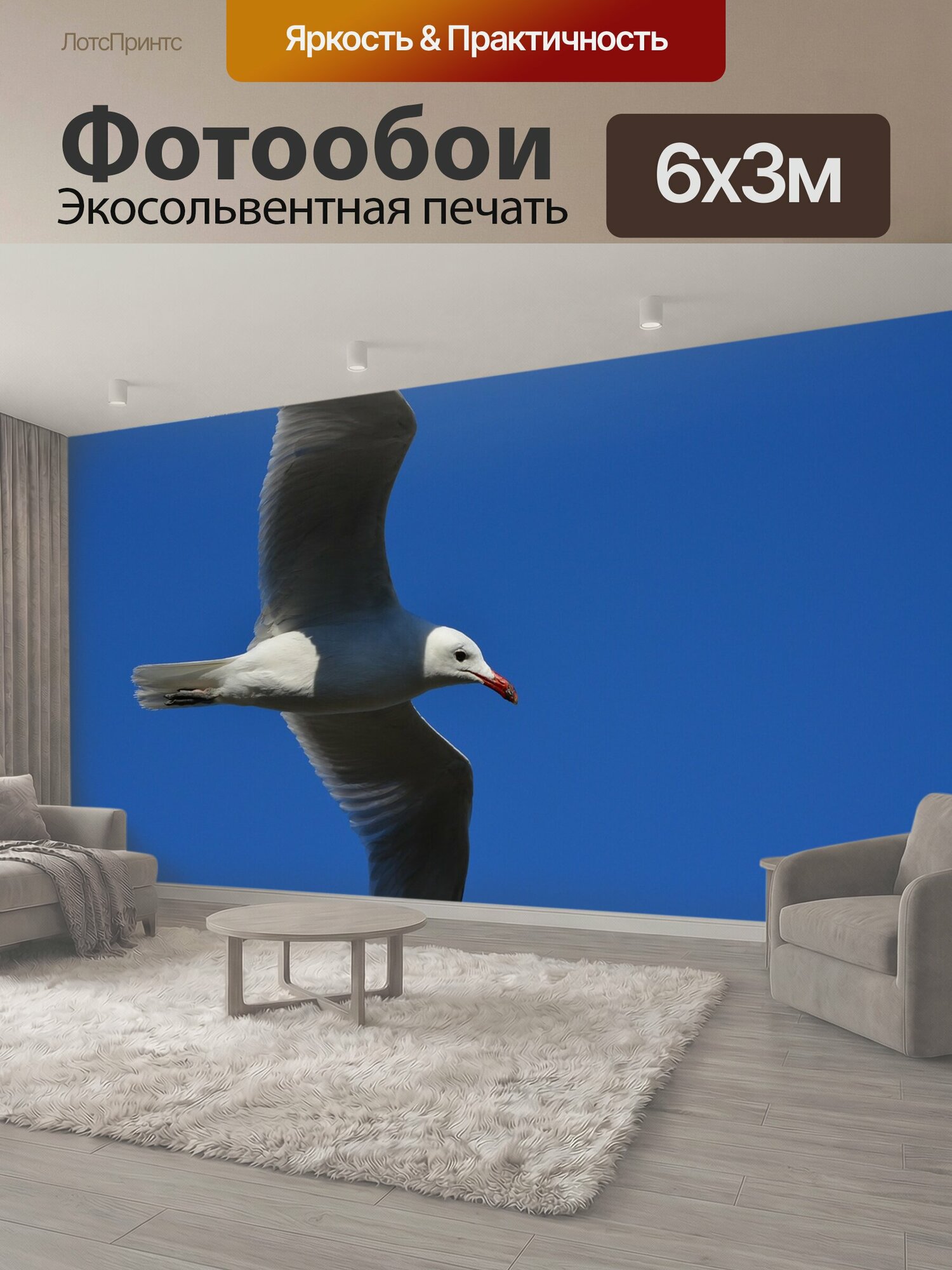 Фотообои "Чайка, птица, летающий" 600x300 см. экосольвентная печать
