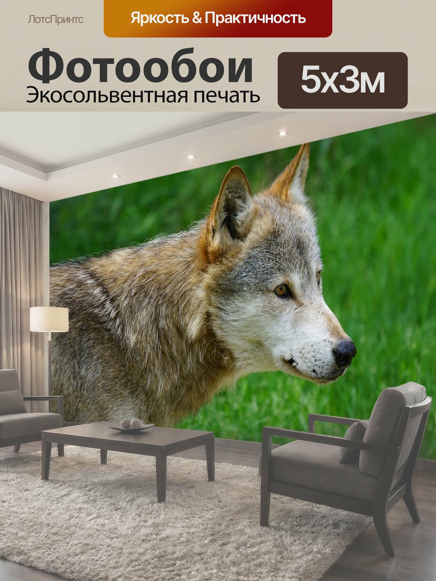 Фотообои "Волк, canis lupus, дир парк" 500x300 см. экосольвентная печать