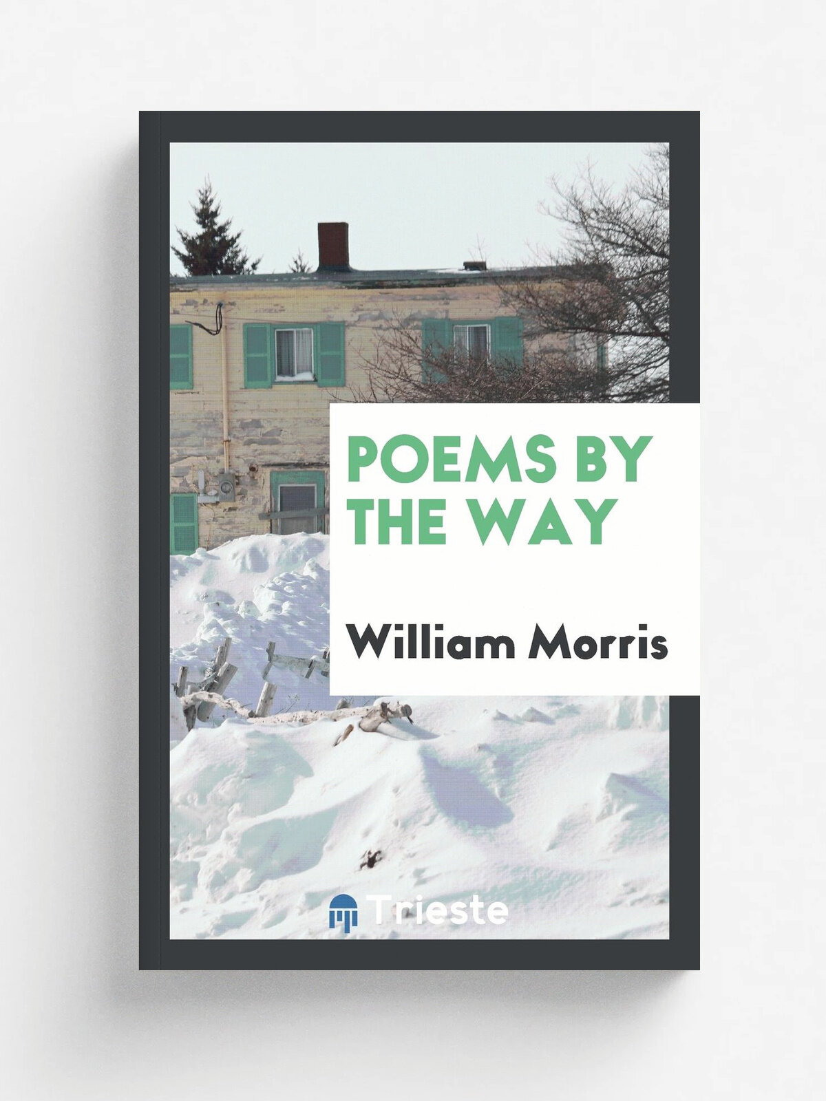 Poems by the Way