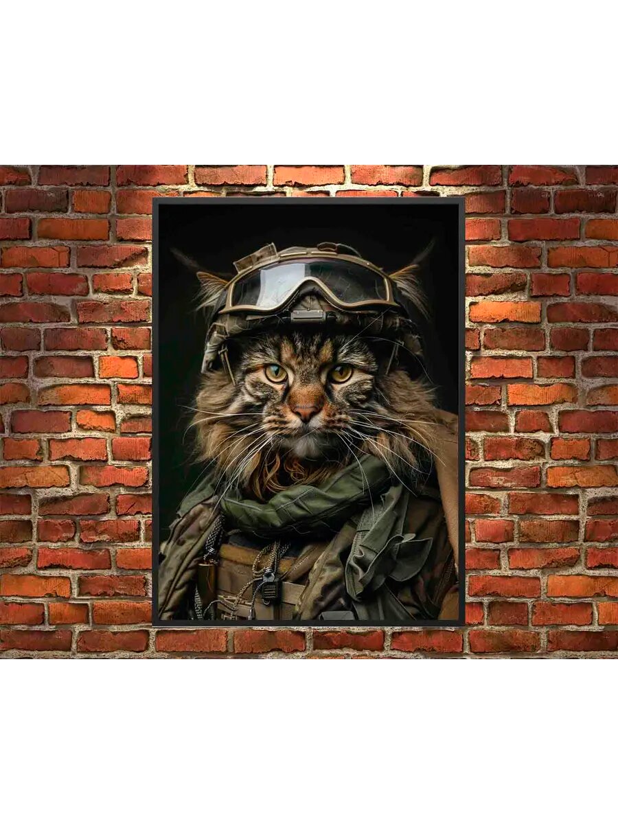 Кот-солдат породы Мейн-кун 4, Плакат 30x42см