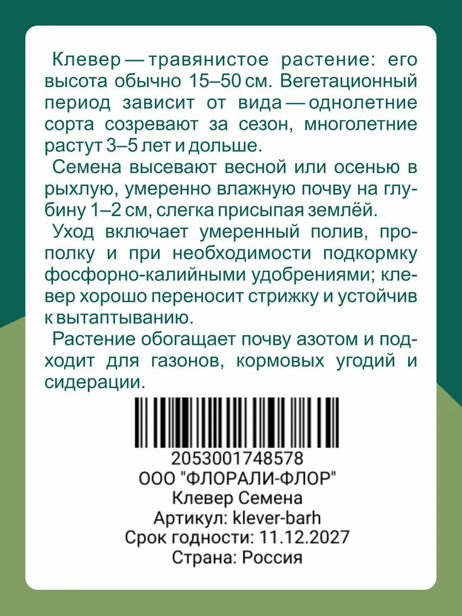Клевер Семена — фото 1