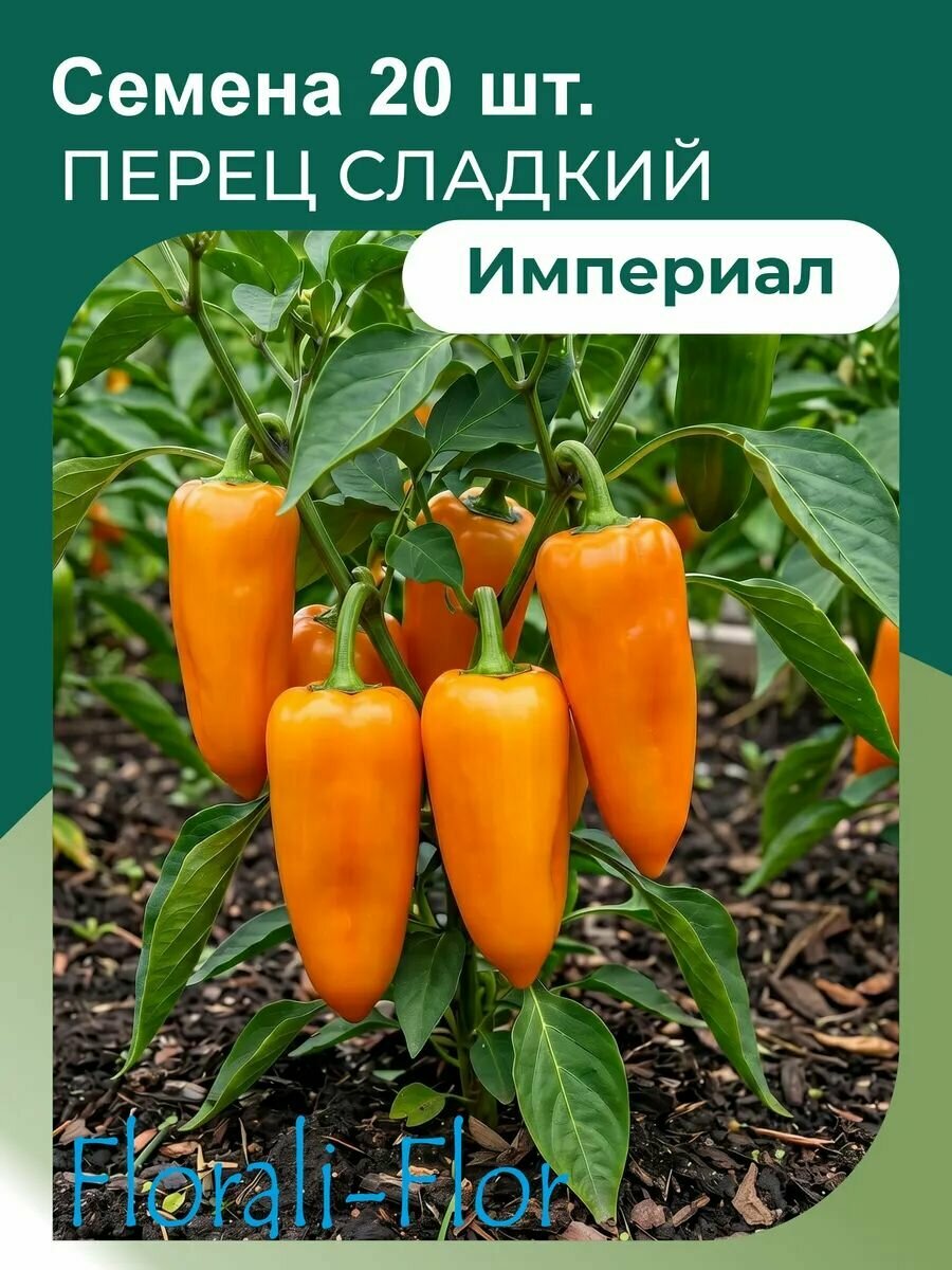 Перец Семена