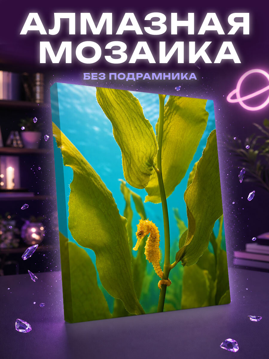 Алмазная мозаика Сияние янтарного морского конька