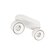 Спот LOFT IT 10323/2A White