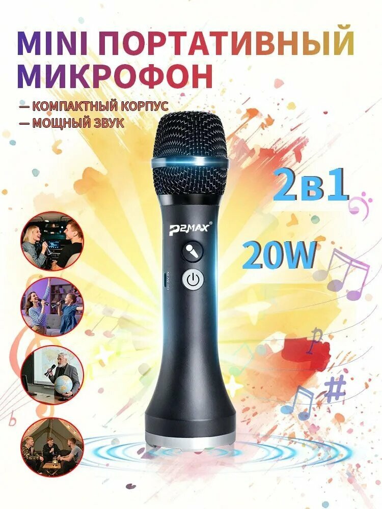 P2MAX Микрофон универсальный караоке колонка 20Вт P05-G6 PRO, темно-серый