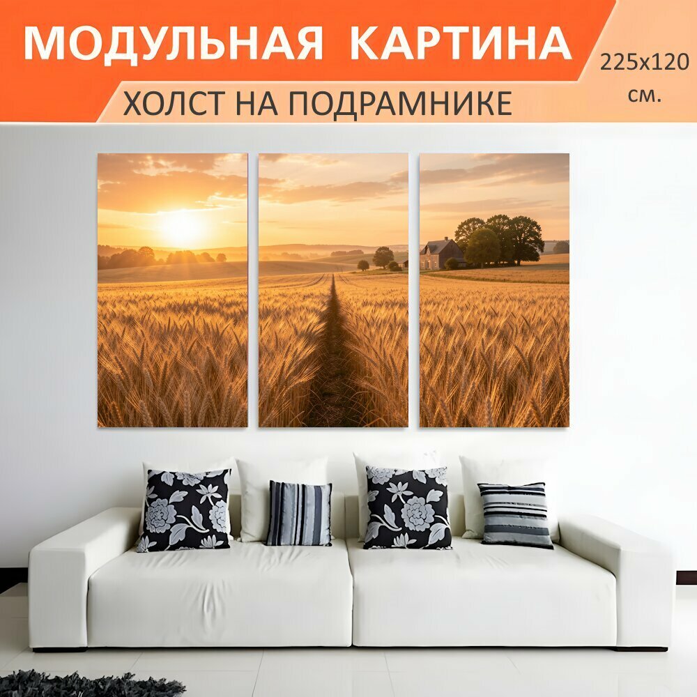Модульная картина на холсте "Золотое поле на закате. Широкий сельский пейзаж с колосящимся злаковым полем, узкой тропинкой, одиноким." триптих на подрамнике 225х120 см. для интерьера