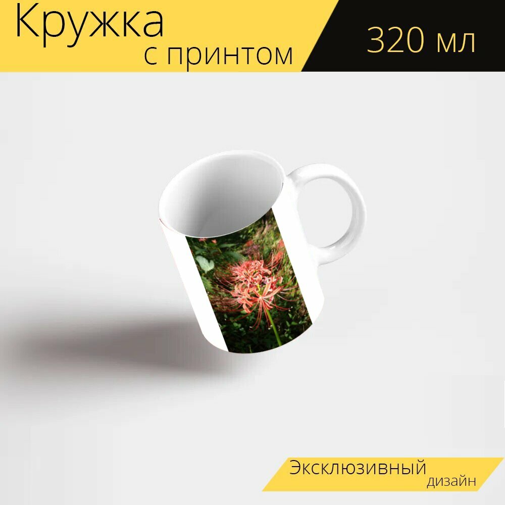 Кружка с рисунком, принтом "Цветок, завод, ликориса лучистого" 320 мл.