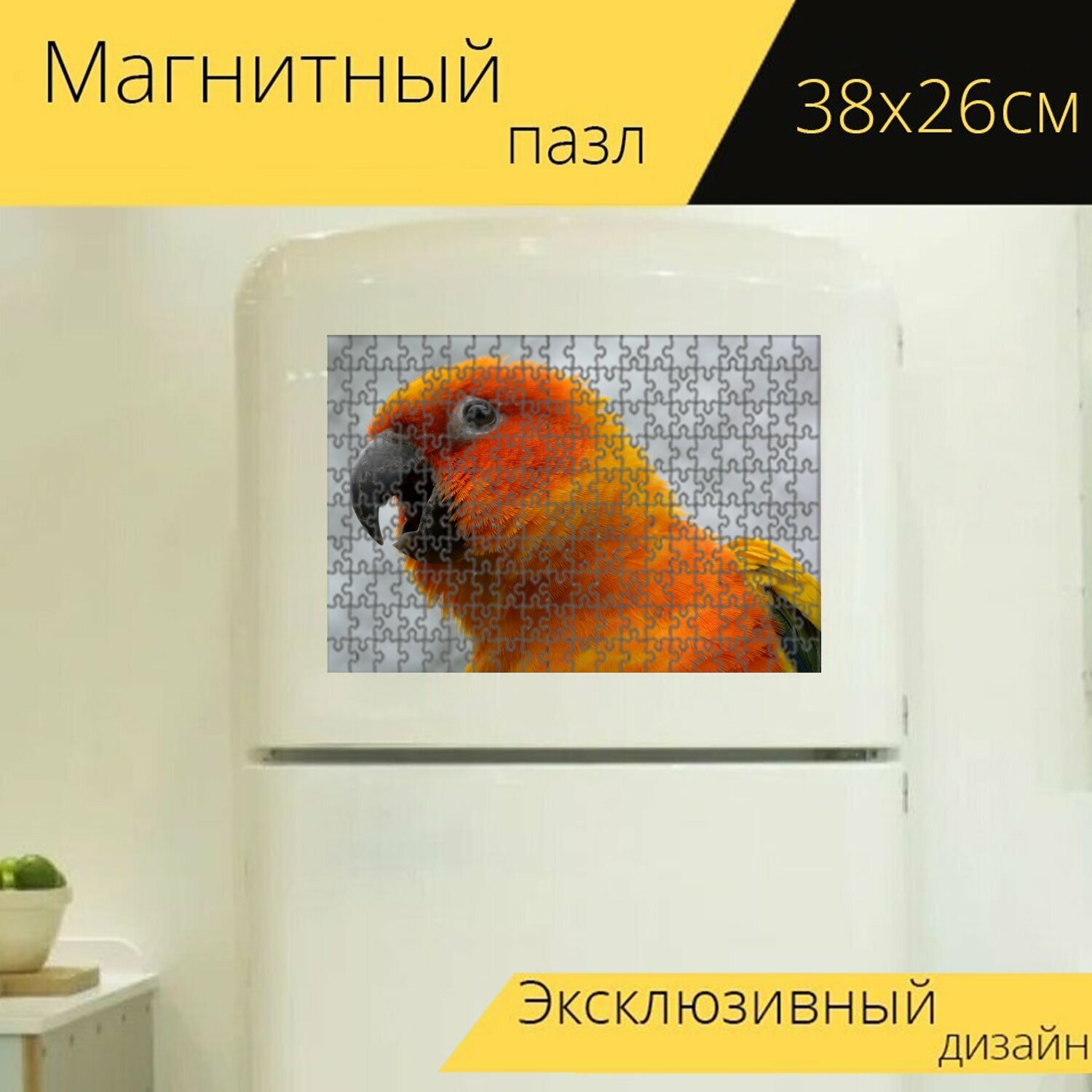 Магнитный пазл "Попугай, животное, птица" для интерьера, 38х26 см.