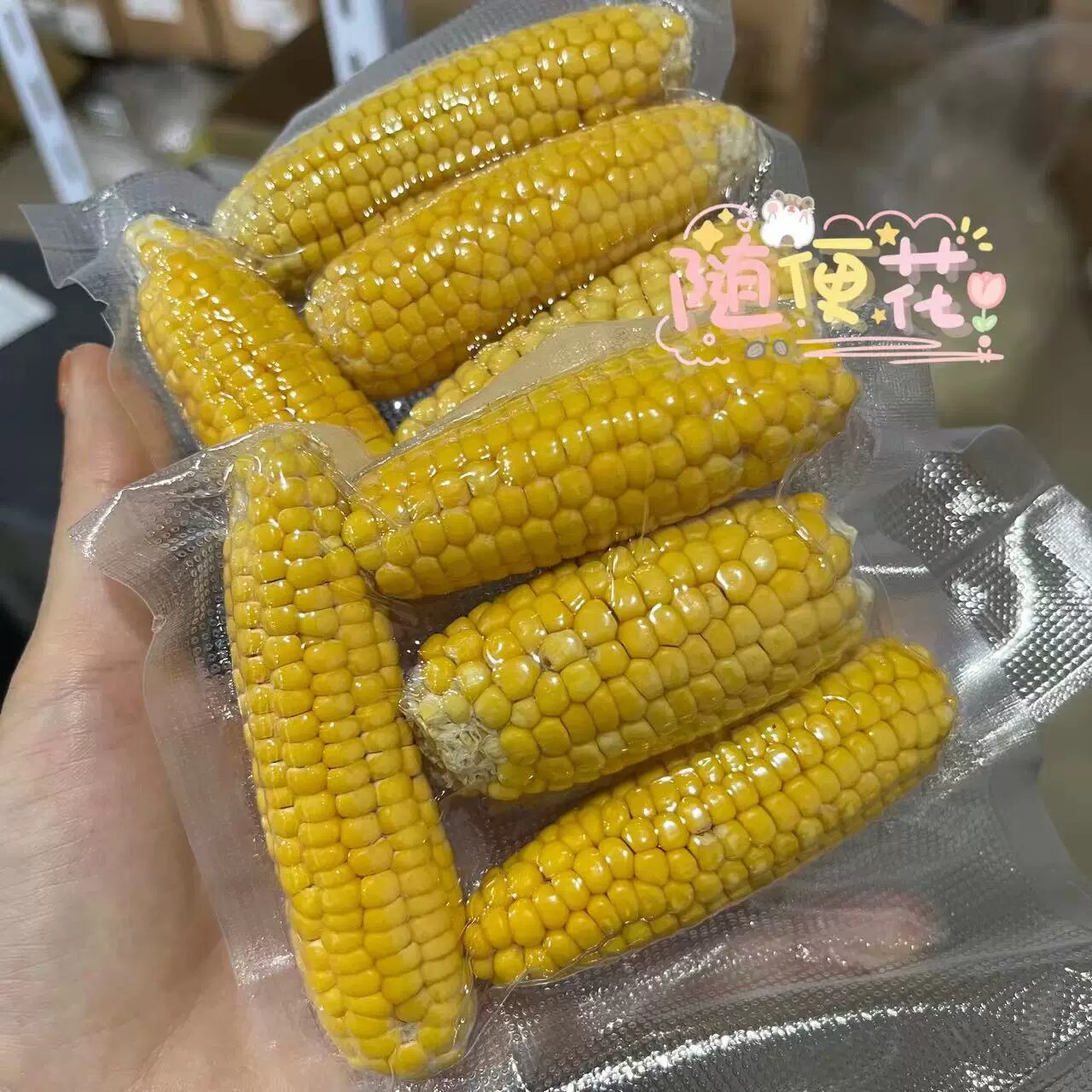 Одна натуральная кукурузная палочка для хомячков и песцов, безопасная зубная игрушка, 100% съедобная
