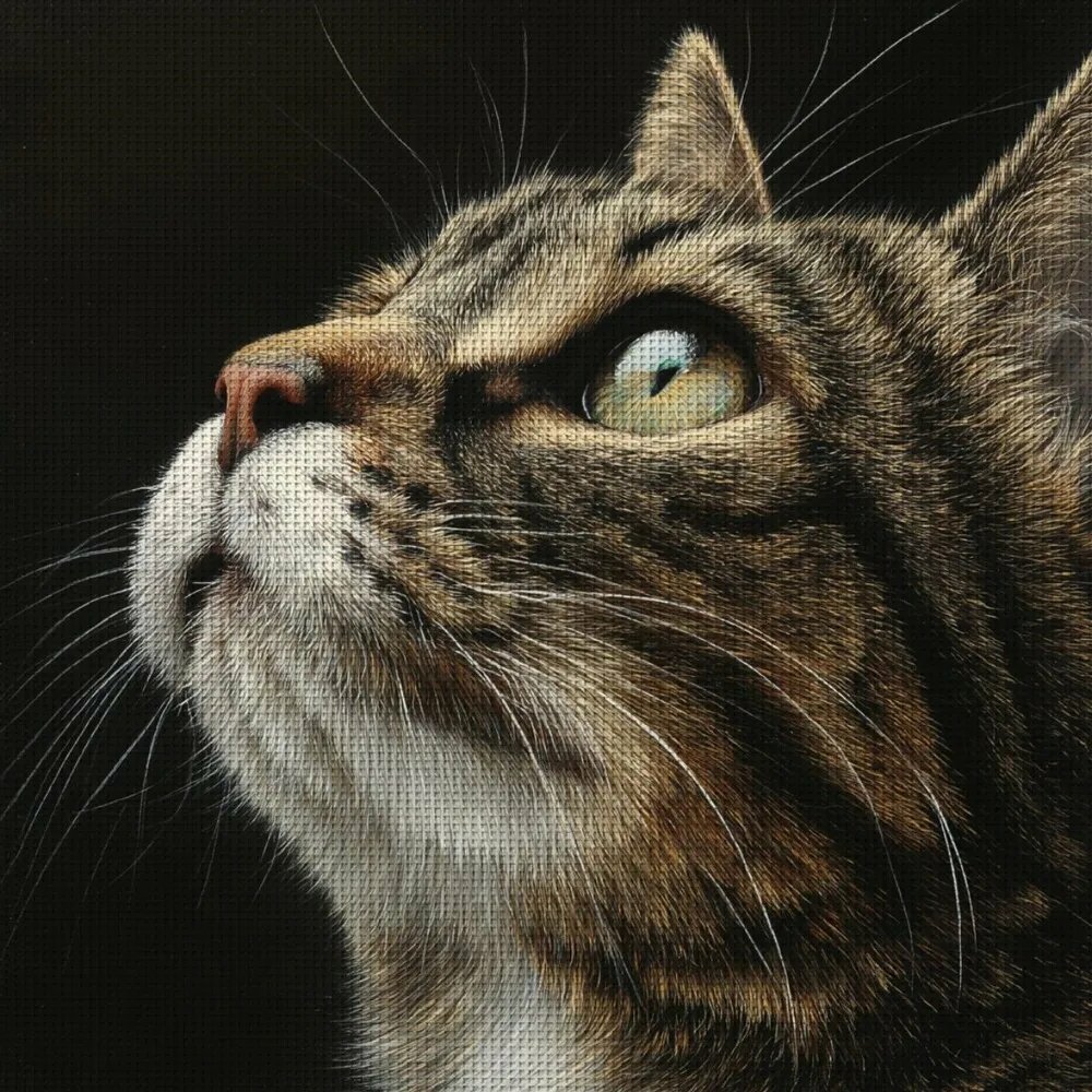 Наборы для вышивки, Полотенце 40x40cm, рисунок 35x35cm, 11CT Печать, наборы для вышивки крестом