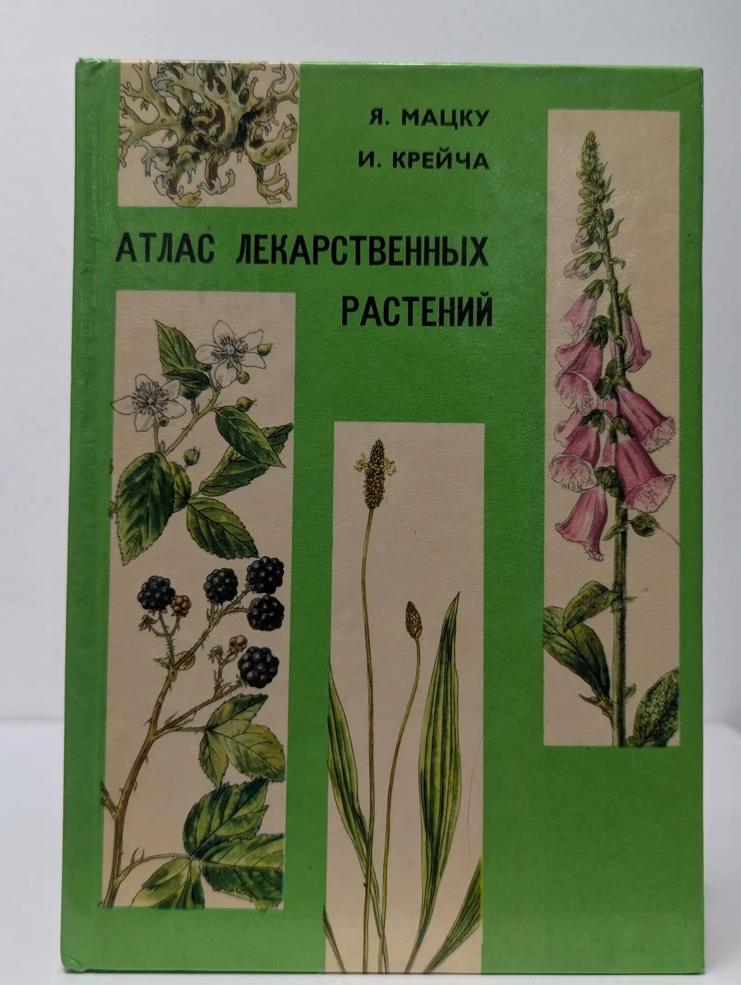 Атлас лекарственных растений Крейча Индржих, Мацку Ян 1972