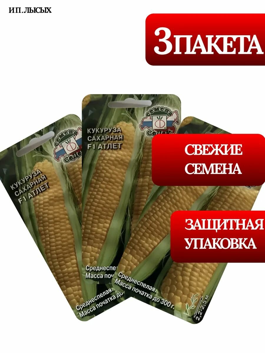 Семена Кукуруза "Атлет"