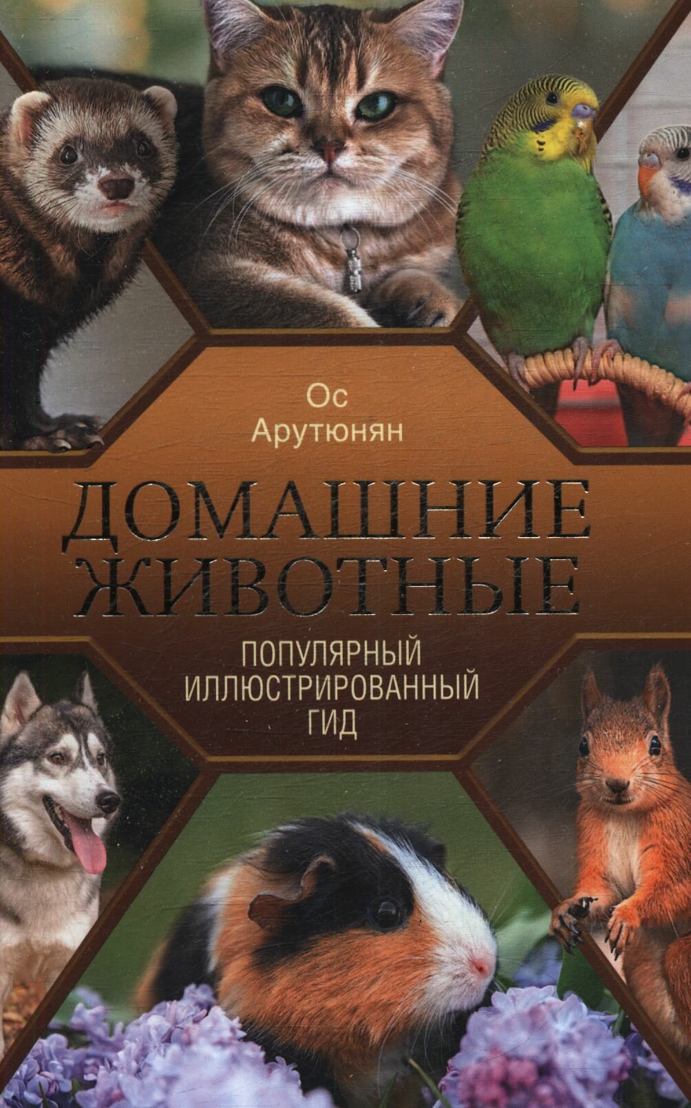 Домашние животные. Популярный иллюстрированный гид
