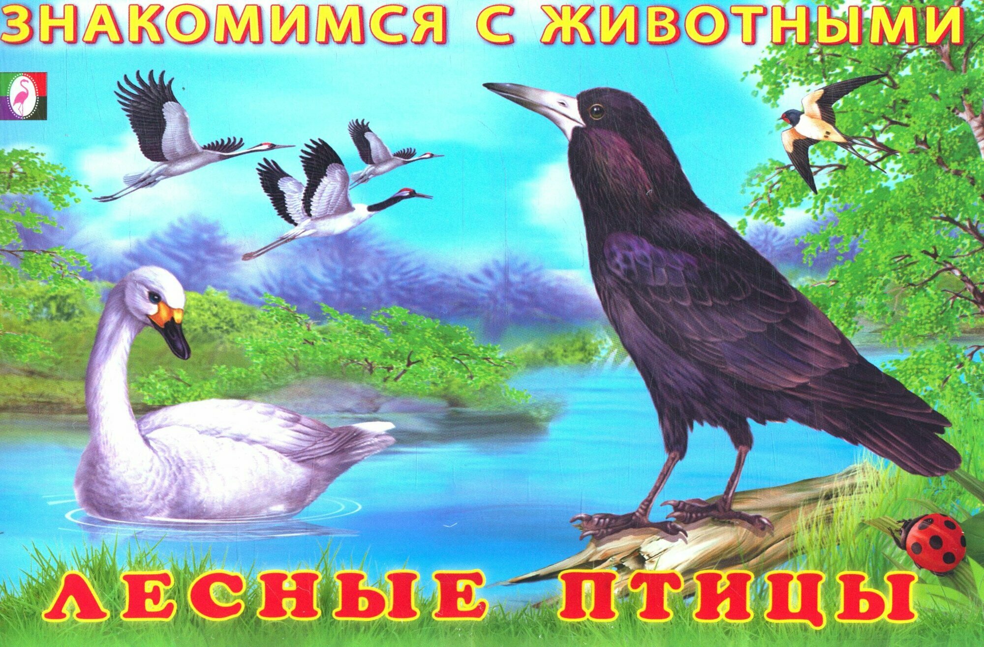 Лесные птицы (Арт.27681) (Фламинго)