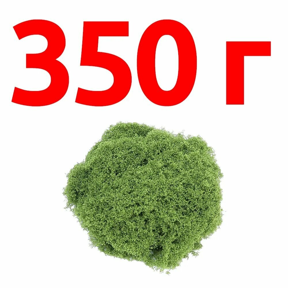 Стабилизированный мох Мох, 2 см, 350 гр