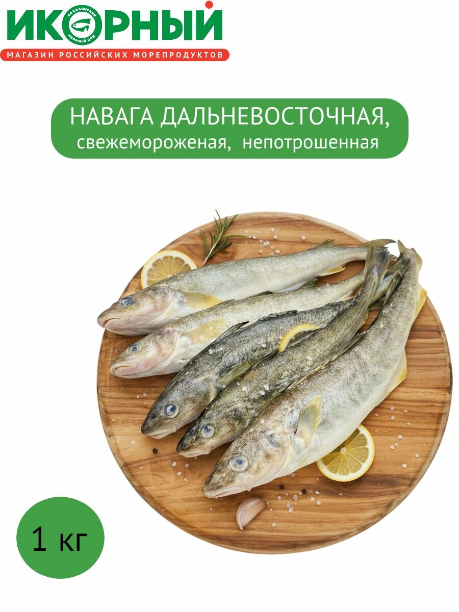 Навага дальневосточная, свежемороженая, непотрошеная, Икорный , 1 кг