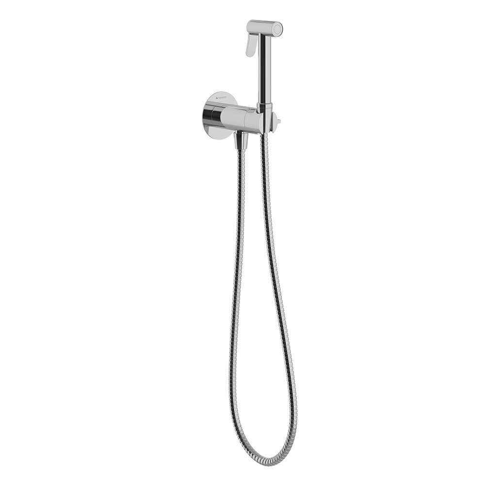 Смеситель скрытого монтажа с гигиеническим душем Aqueduto пуреза/PUREZA , АкваЛок/AquaLock, хром PUR0100