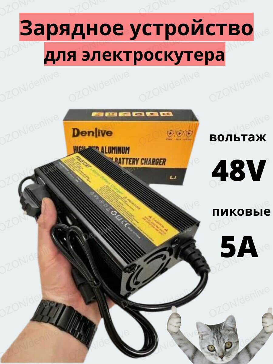 Зарядное устройство (зарядник) 48v (54.6), 5A с разъемом С13 в металлическом (алюминиевом) корпусе