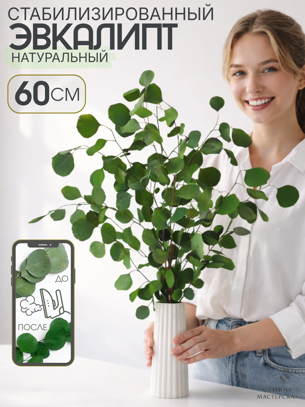 Стабилизированные цветы, эвкалипт стабилизированный зеленый, Цинерия. Сухоцветы для декора. 3-5 шт. 60 см