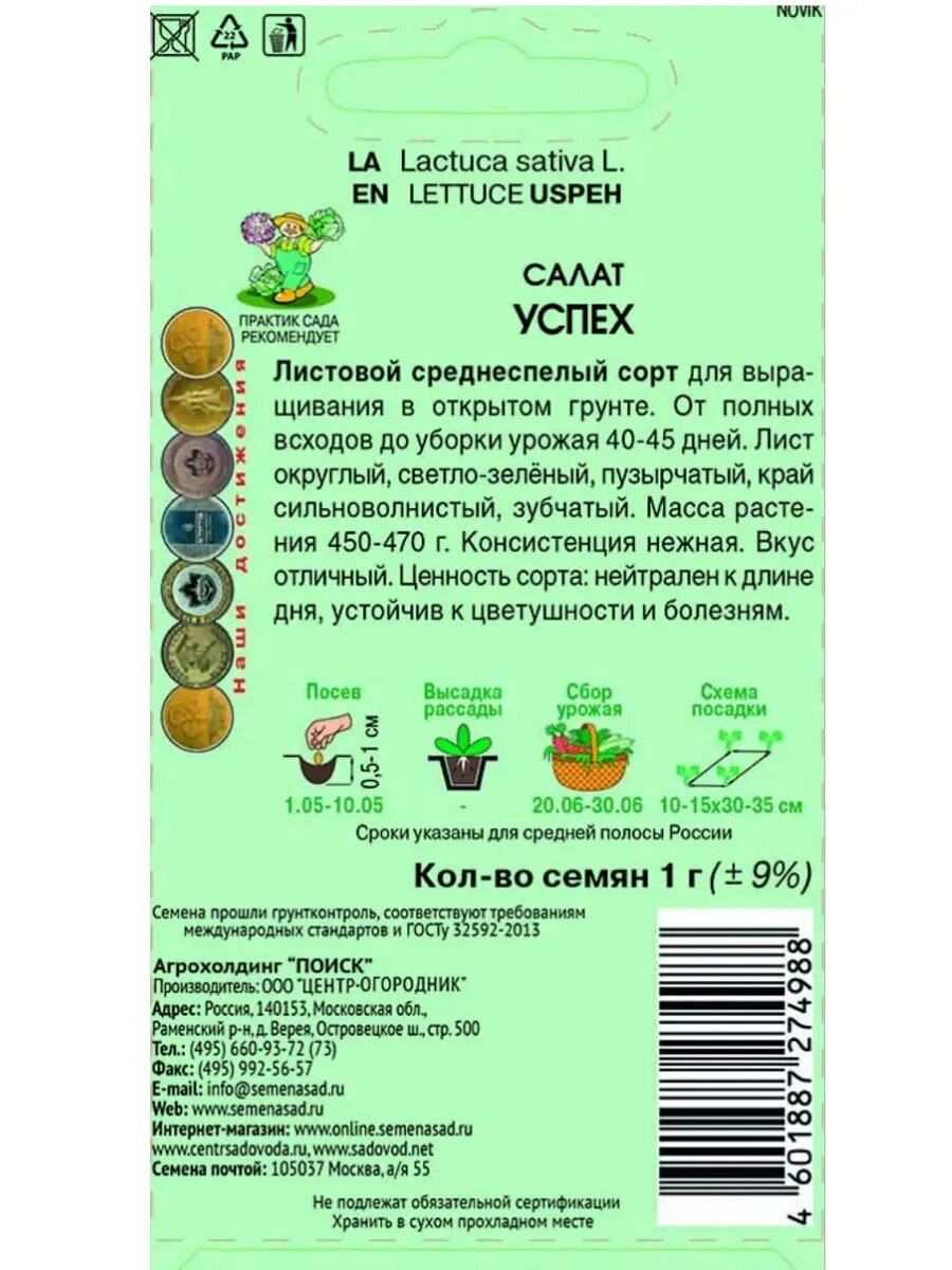 Семена Салат «Успех» — фото 1