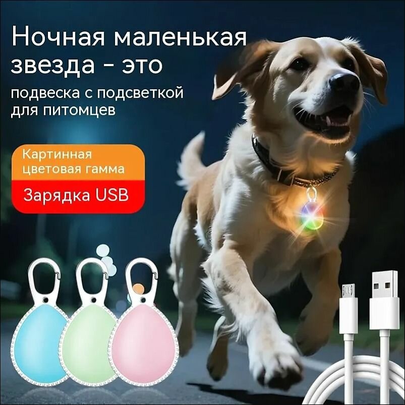 Адресник "Три режима", USB-перезаряжаемый, со светодиодами, для кошек и собак