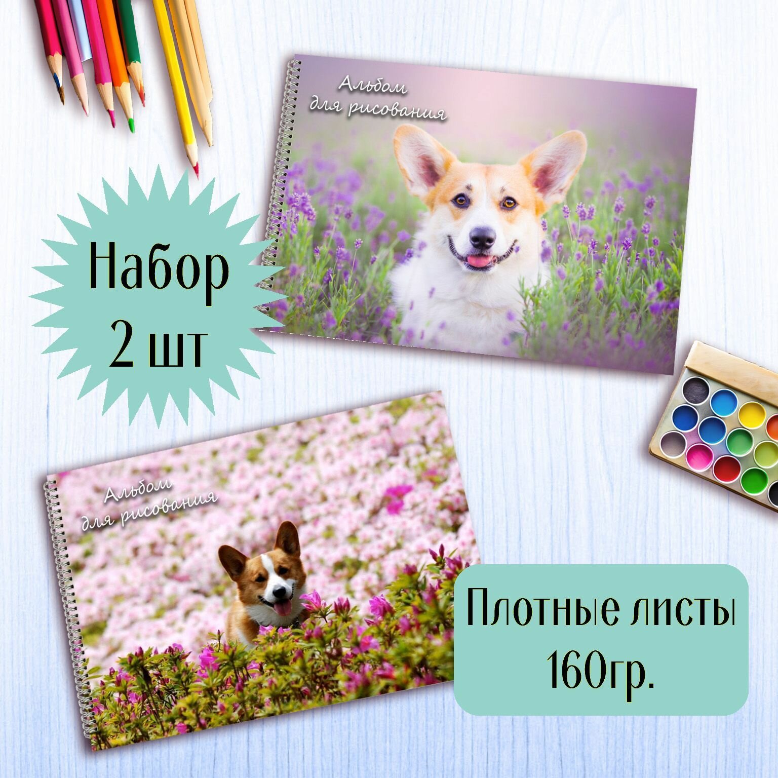Альбомы для рисования Корги